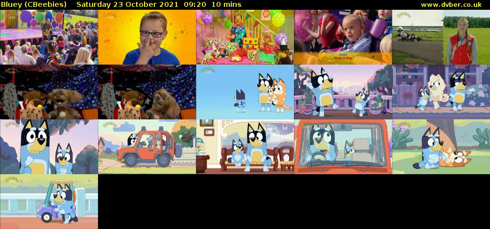 Bluey (CBeebies) - 2021-10-23-0920