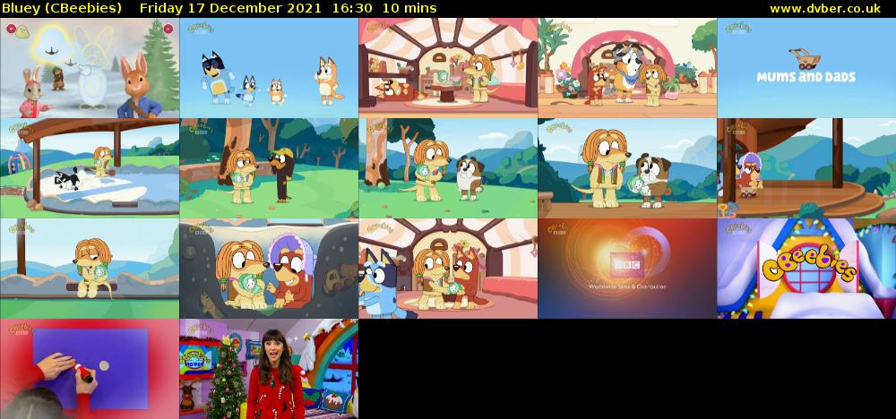 Bluey (CBeebies) - 2021-12-17-1630