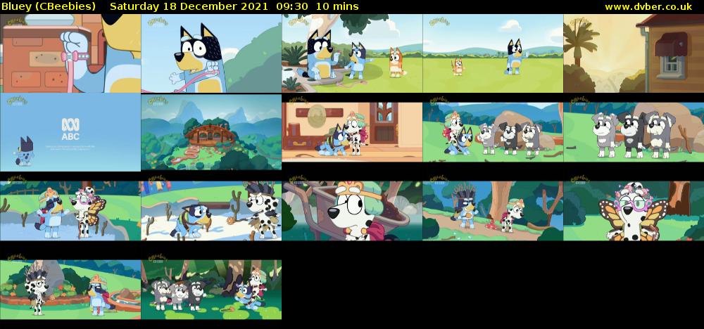 Bluey (CBeebies) - 2021-12-18-0930