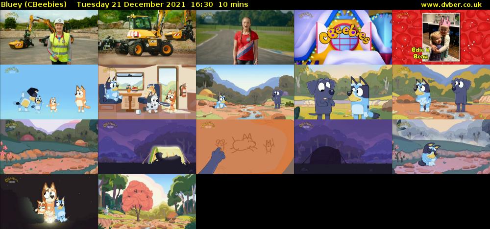 Bluey (CBeebies) - 2021-12-21-1630