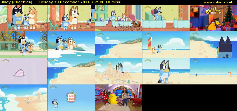 Bluey (CBeebies) - 2021-12-28-0730