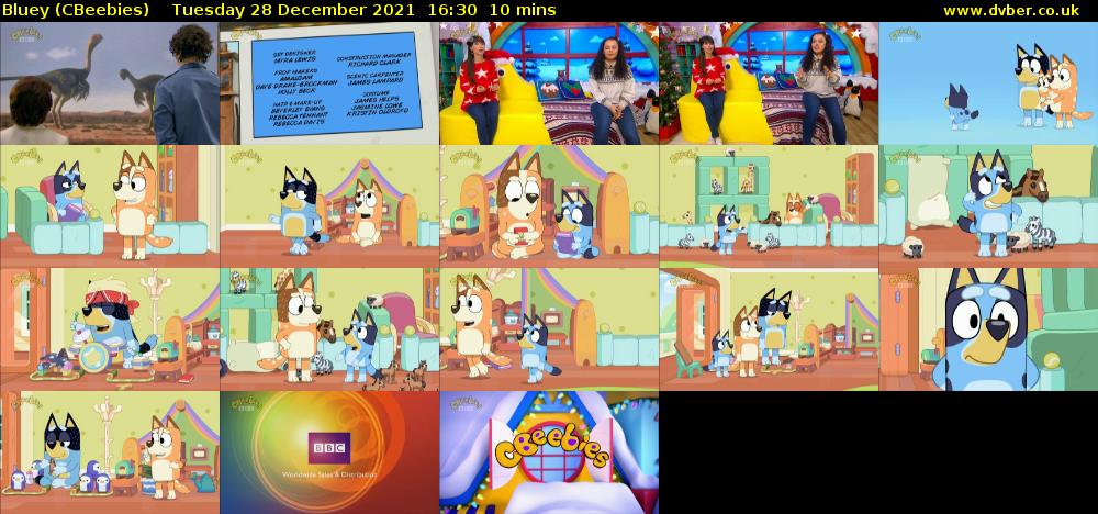 Bluey (CBeebies) - 2021-12-28-1630