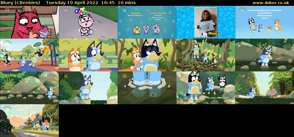 Bluey (CBeebies) - 2022-04-19-1645