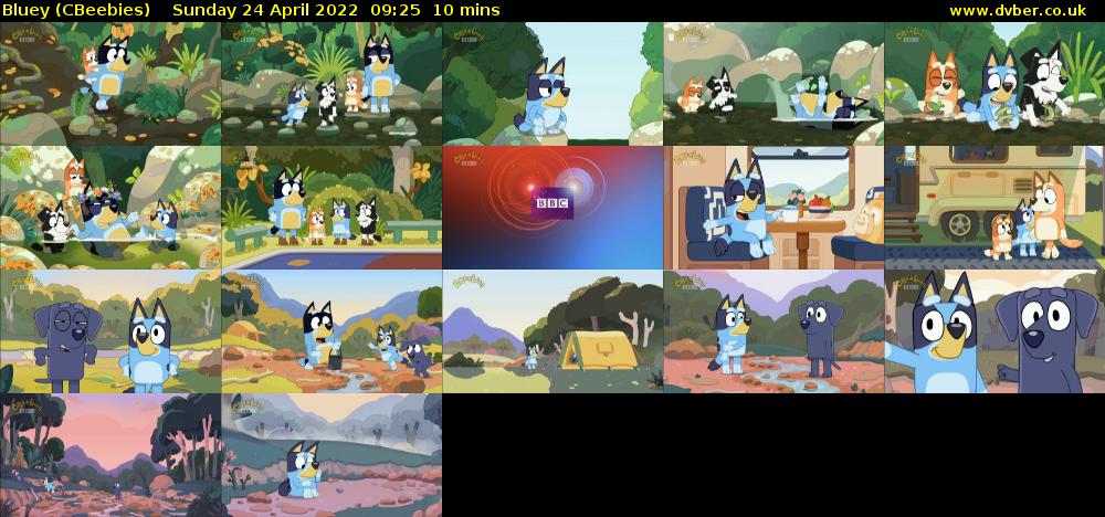 Bluey (CBeebies) - 2022-04-24-0925