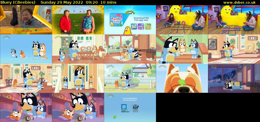 Bluey (CBeebies) - 2022-05-29-0920