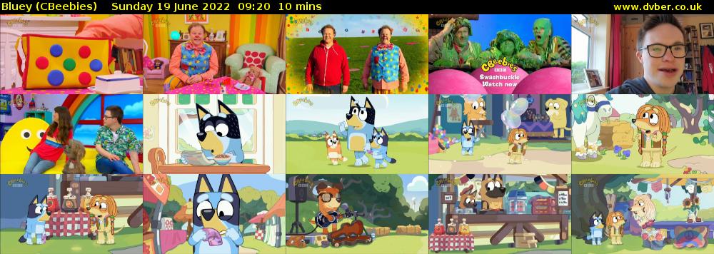 Bluey (CBeebies) - 2022-06-19-0920