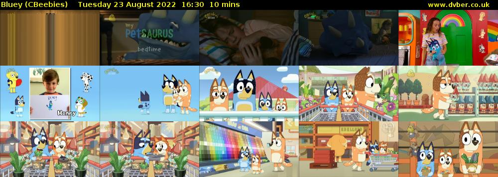 Bluey (CBeebies) - 2022-08-23-1630