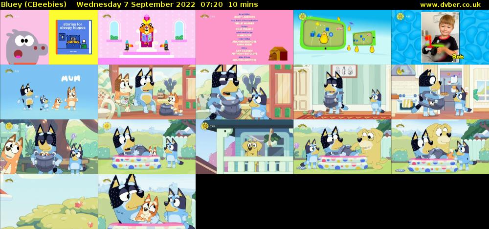 Bluey (CBeebies) - 2022-09-07-0720