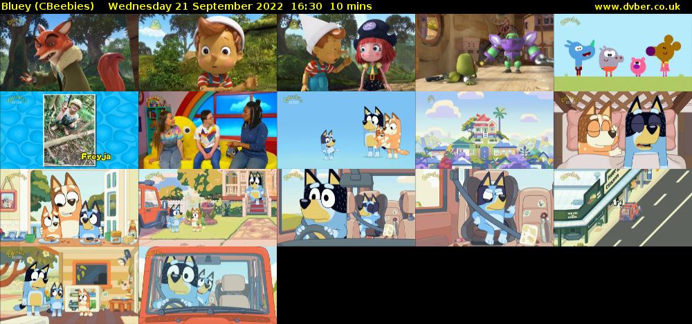 Bluey (CBeebies) - 2022-09-21-1630