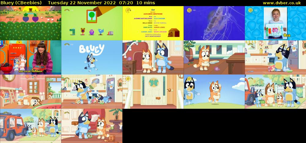 Bluey (CBeebies) - 2022-11-22-0720