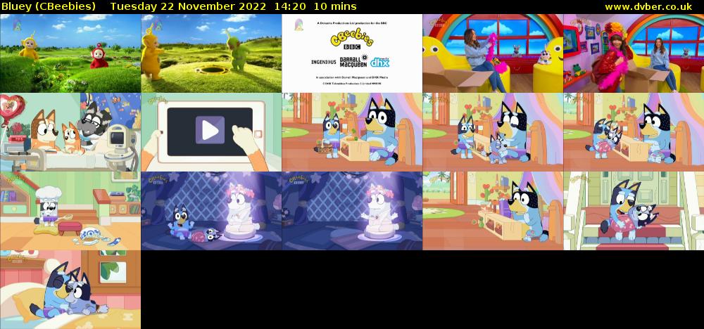 Bluey (CBeebies) - 2022-11-22-1420