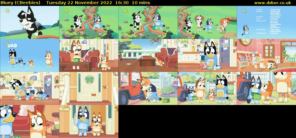 Bluey (CBeebies) - 2022-11-22-1630