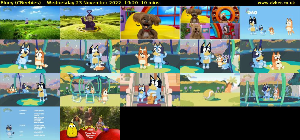 Bluey (CBeebies) - 2022-11-23-1420