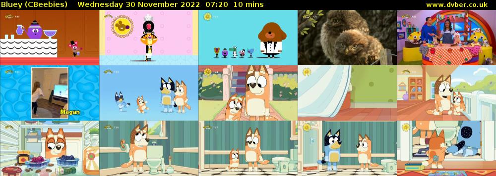 Bluey (CBeebies) - 2022-11-30-0720