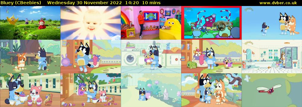 Bluey (CBeebies) - 2022-11-30-1420