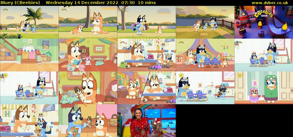 Bluey (CBeebies) - 2022-12-14-0730