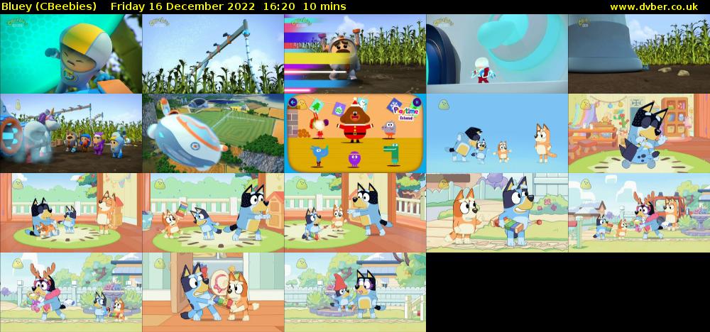 Bluey (CBeebies) - 2022-12-16-1620