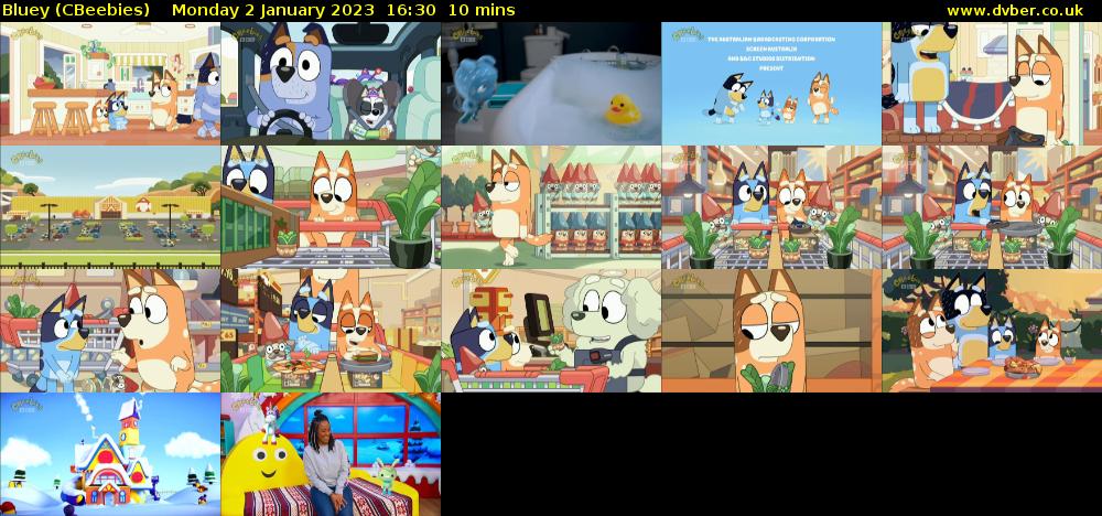Bluey (CBeebies) - 2023-01-02-1630