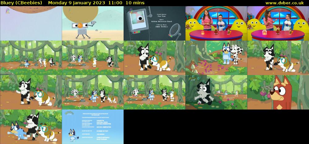 Bluey (CBeebies) - 2023-01-09-1100