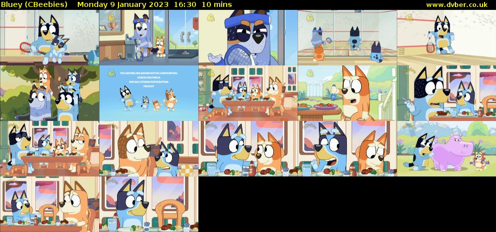 Bluey (CBeebies) - 2023-01-09-1630
