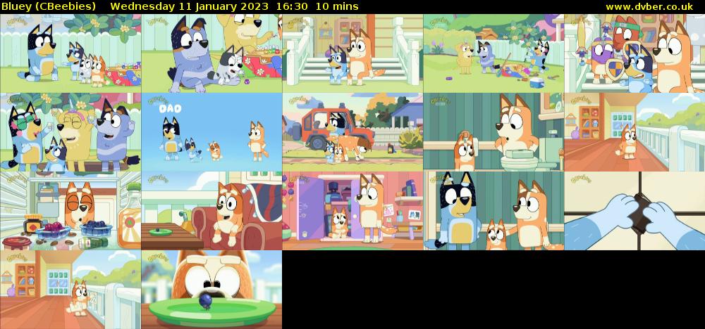 Bluey (CBeebies) - 2023-01-11-1630