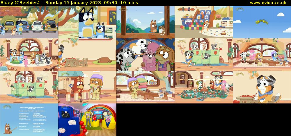 Bluey (CBeebies) - 2023-01-15-0930