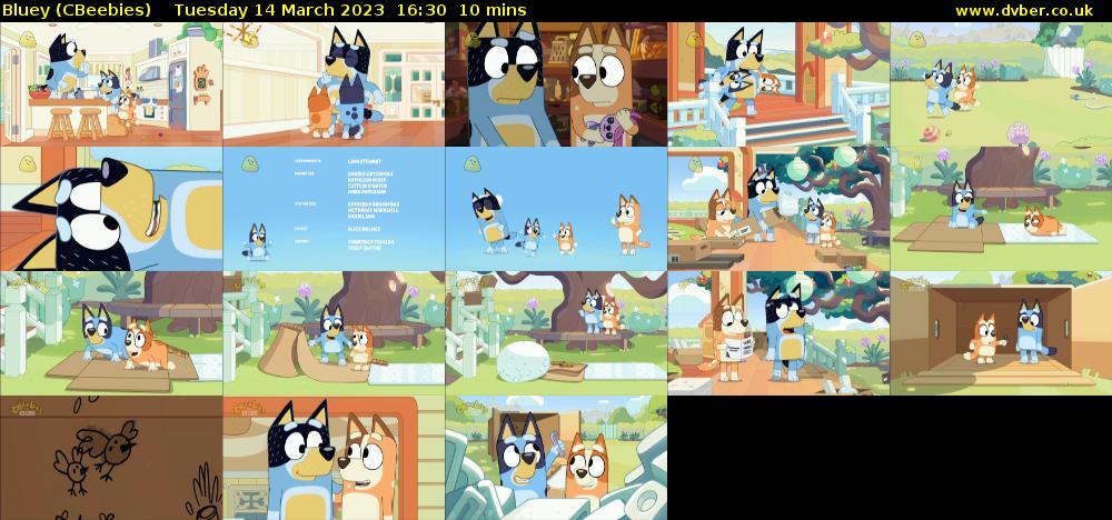 Bluey (CBeebies) - 2023-03-14-1630