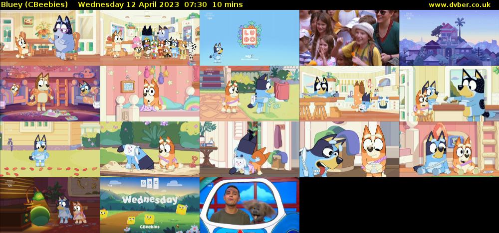 Bluey (CBeebies) - 2023-04-12-0730