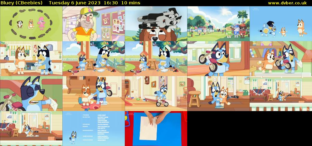 Bluey (CBeebies) - 2023-06-06-1630