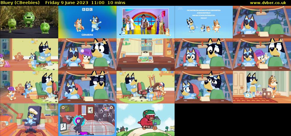 Bluey (CBeebies) - 2023-06-09-1100