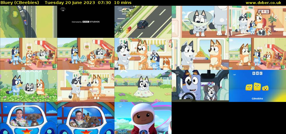 Bluey (CBeebies) - 2023-06-20-0730