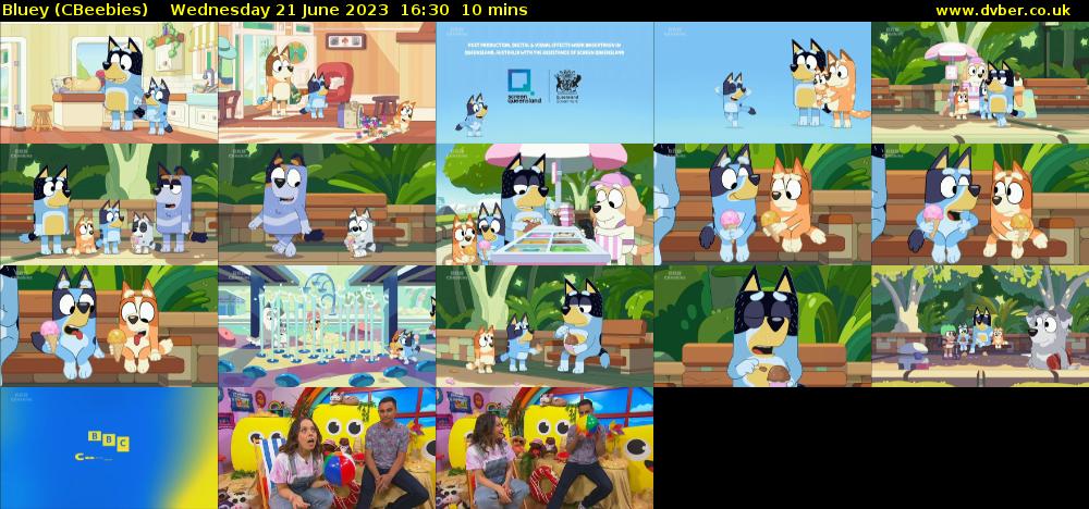 Bluey (CBeebies) - 2023-06-21-1630