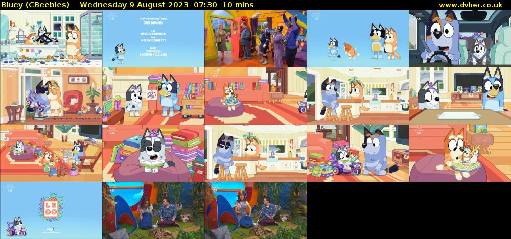 Bluey (CBeebies) - 2023-08-09-0730