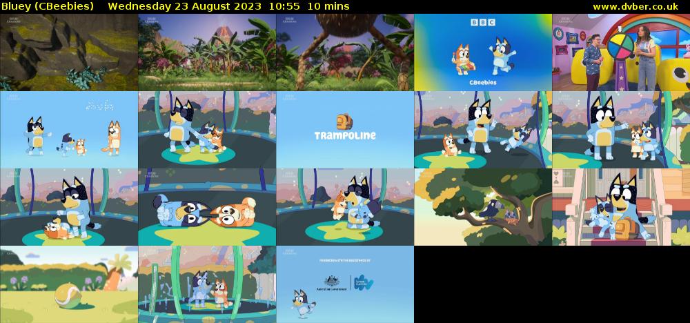 Bluey (CBeebies) - 2023-08-23-1055