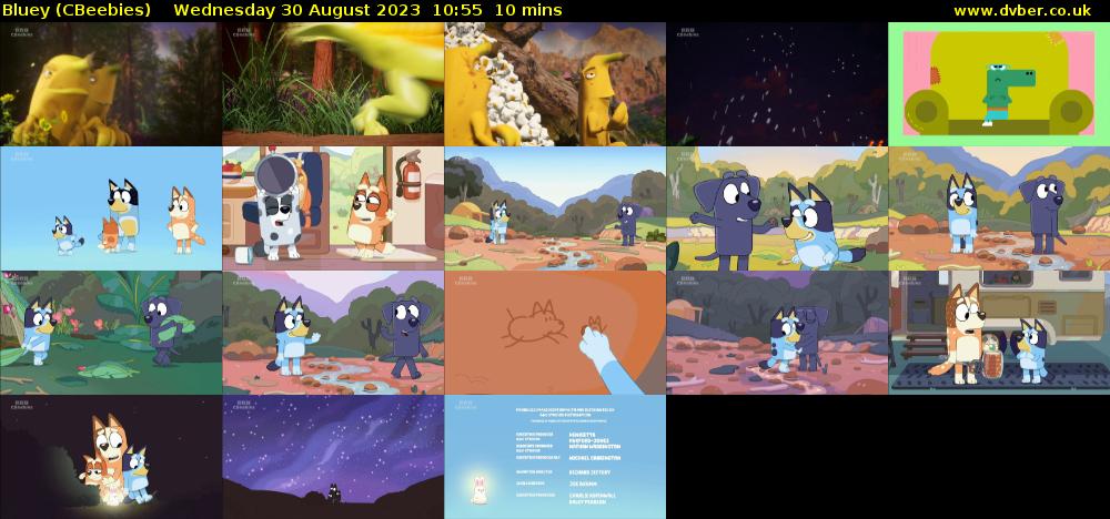 Bluey (CBeebies) - 2023-08-30-1055