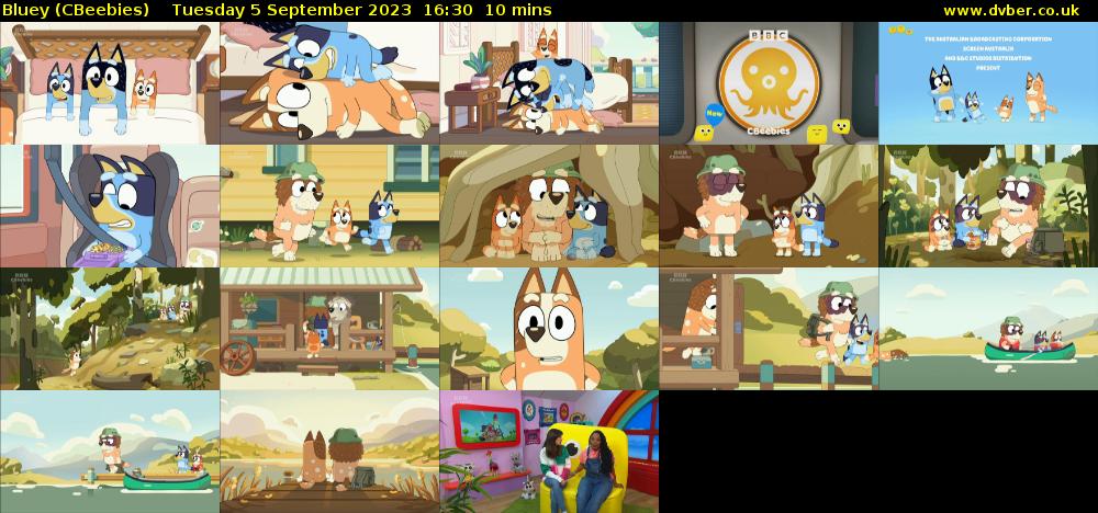 Bluey (CBeebies) - 2023-09-05-1630