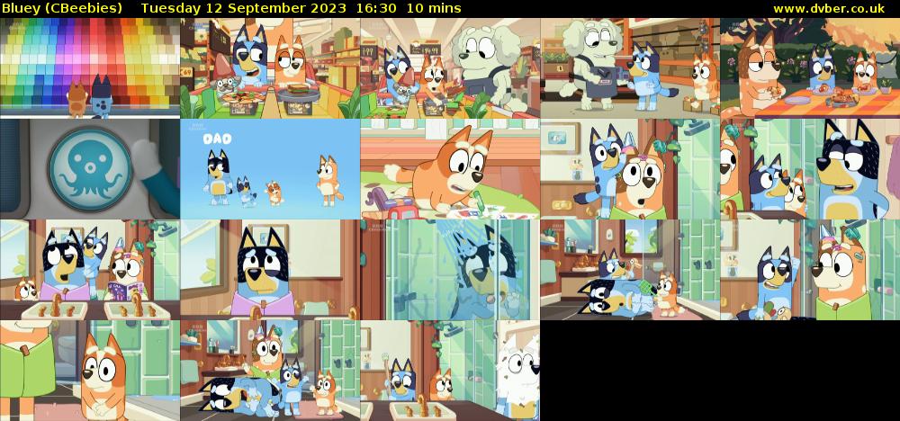 Bluey (CBeebies) - 2023-09-12-1630