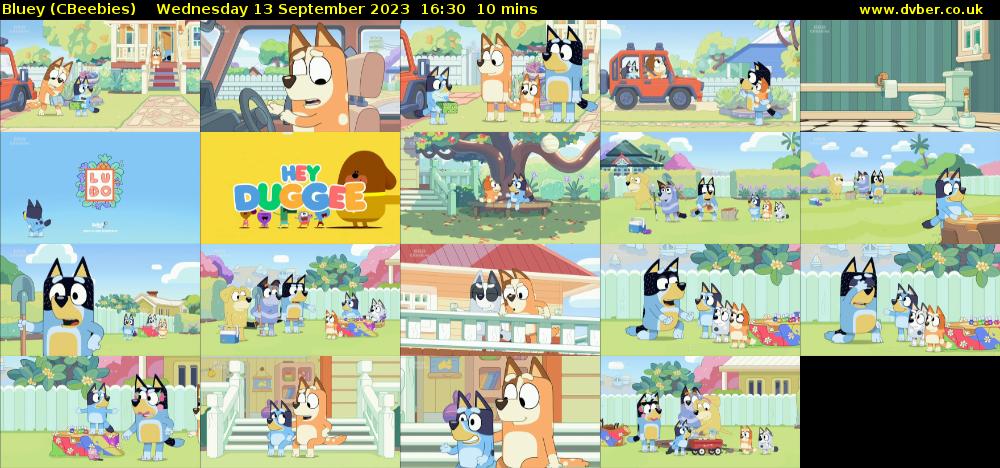 Bluey (CBeebies) - 2023-09-13-1630