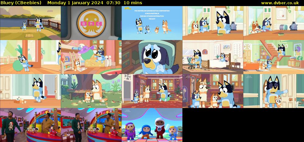 Bluey (CBeebies) - 2024-01-01-0730