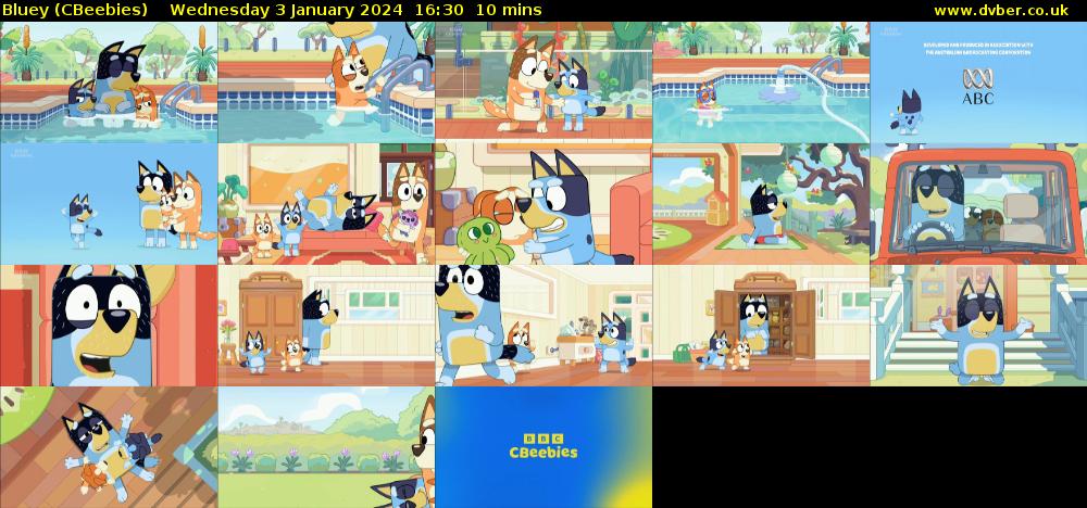 Bluey (CBeebies) - 2024-01-03-1630