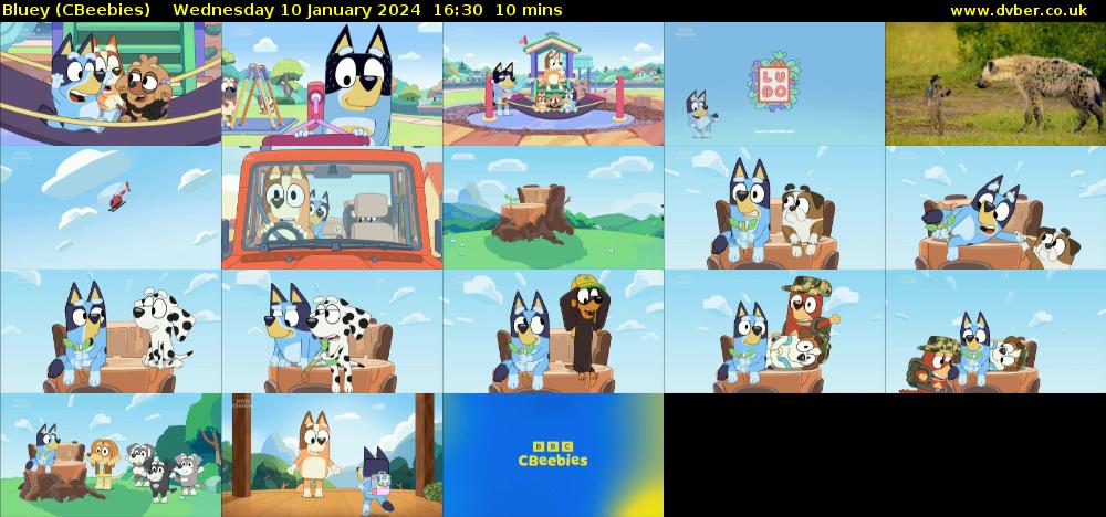 Bluey (CBeebies) - 2024-01-10-1630