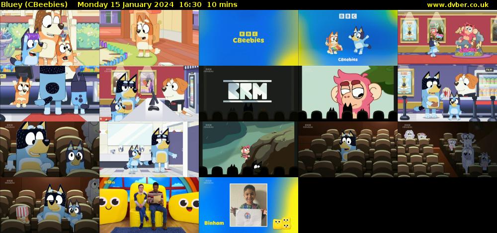 Bluey (CBeebies) - 2024-01-15-1630