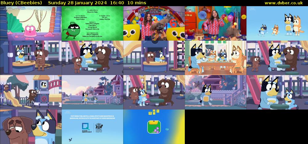 Bluey (CBeebies) - 2024-01-28-1640