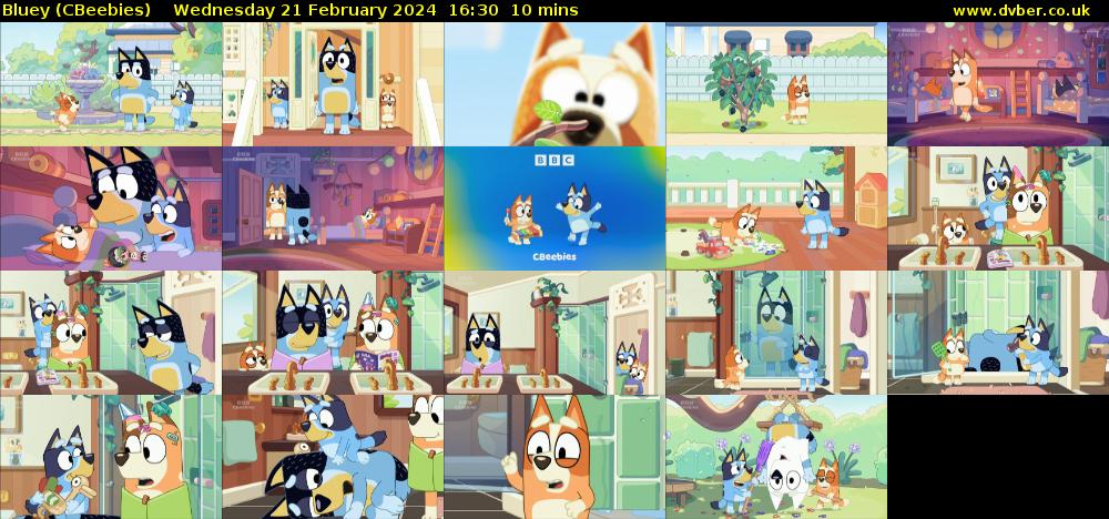 Bluey (CBeebies) - 2024-02-21-1630