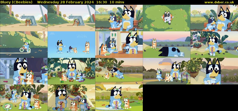 Bluey (CBeebies) - 2024-02-28-1630