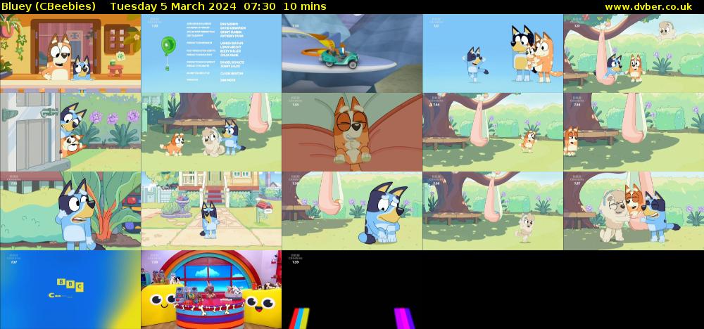 Bluey (CBeebies) - 2024-03-05-0730