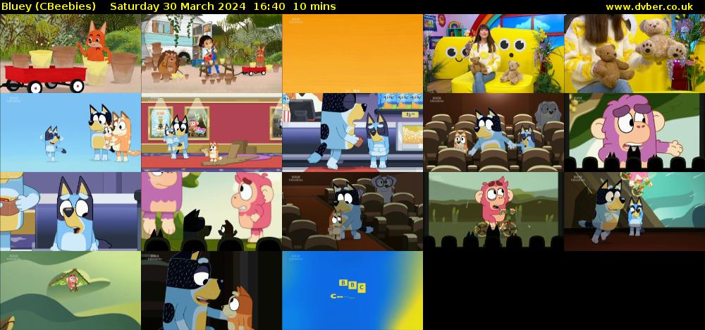 Bluey (CBeebies) - 2024-03-30-1640