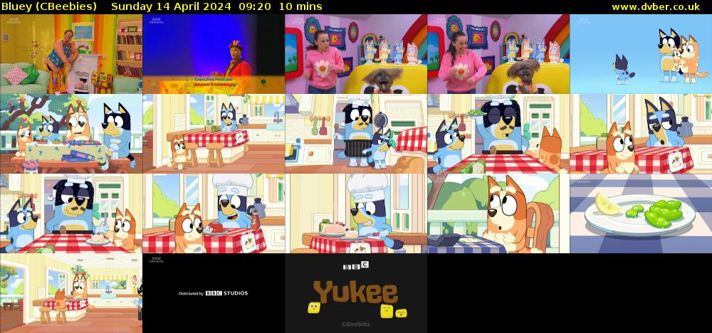 Bluey (CBeebies) - 2024-04-14-0920