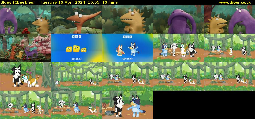 Bluey (CBeebies) - 2024-04-16-1055