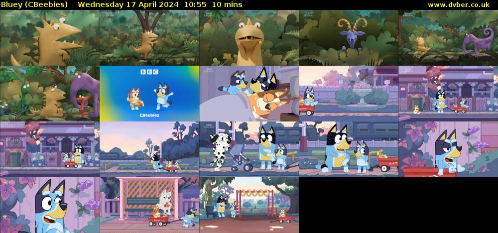 Bluey (CBeebies) - 2024-04-17-1055
